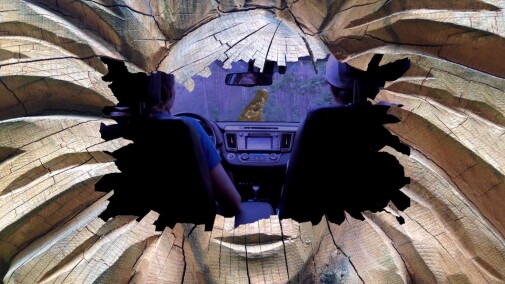 Renowned German short film festival to showcase Lithuanian short films ...