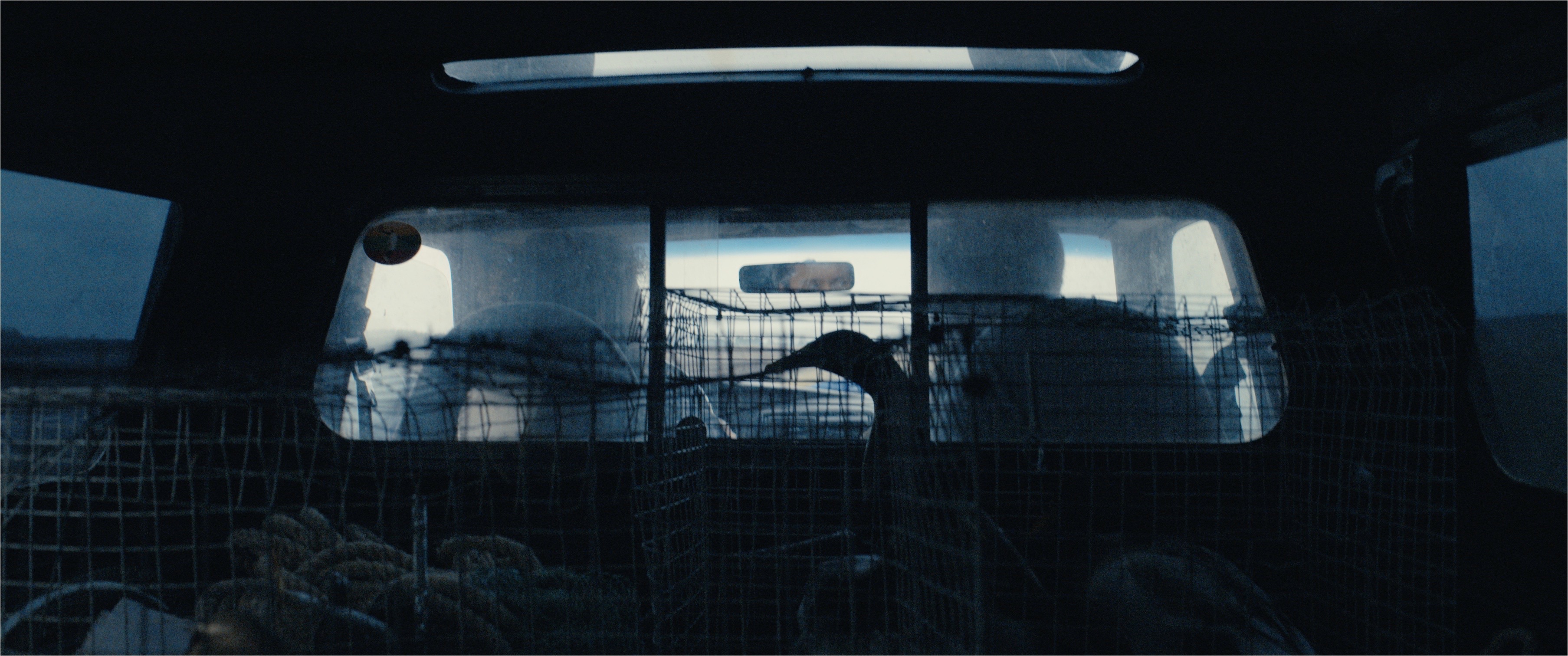 Režisierius Ignas Jonynas filmuos trilerį ant vandens